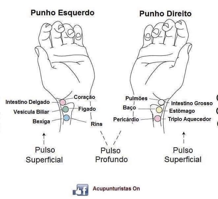 DIAGNÓSTICO REALIZADO ATRAVÉS DA PULSOLOGIA